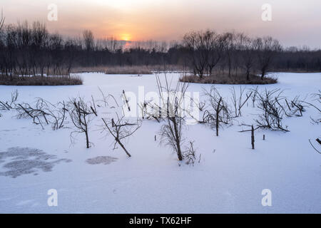 Snow view of wetland Stock Photo - Alamy