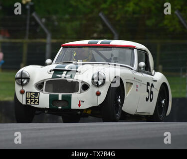 Richard Hywel Evans, Austin Healey 3000, Equipe Libre, a 40 minute one ...