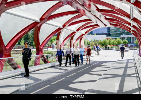 Bow River Pathway pedestrian bridge connecting downtown Calgary with ...