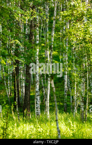 Hulunbuir Haur River, Inner Mongolia Stock Photo - Alamy