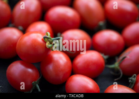 Holy Lady Fruit Tomato Stock Photo - Alamy