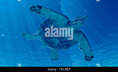 Illustration of an archelon Stock Photo - Alamy
