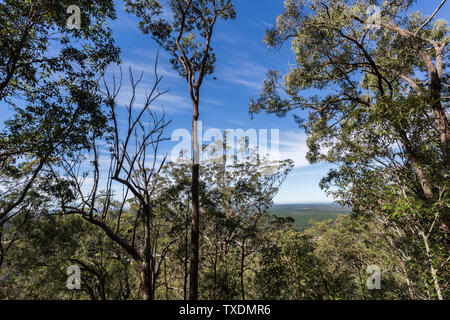 Mount Beerburrum, at 280m, is the fourth highest peak in the Glass ...