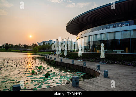 Summer scenery of a park in Chengdu City, southwest China's Sichuan ...