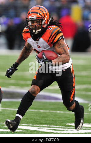 Cincinnati Bengals' Bernard Scott carries the ball against the ...