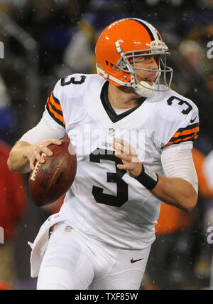 Cleveland Browns quarterback Brandon Weeden (3) gets set to run a play ...