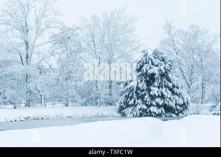 Snow and ice port in Rotterdam, Netherlands, in winter Stock Photo - Alamy