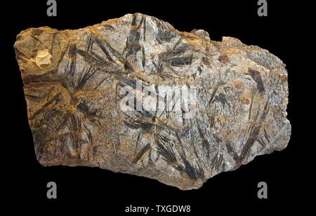 Amphibolite rock, a metamorphic rock consisting mainly of amphibole ...