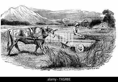 Reconstruction of an ancient roman cart Stock Photo - Alamy