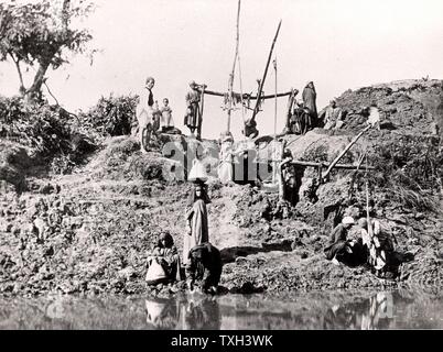 A shaduf or shadoof being used to raise water, Egypt, late 1880s. The ...