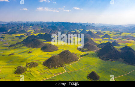 rapeseed in Luoping County, Qujing, Yunnan Province Stock Photo - Alamy