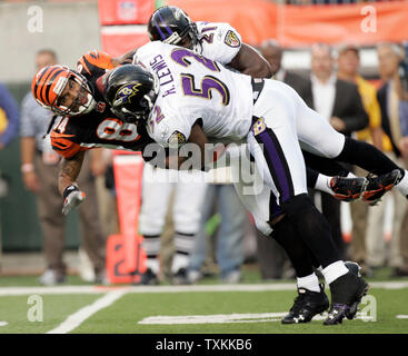 Baltimore Ravens wide receiver T.J. Houshmandzadeh (84) runs past New ...