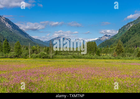 voew on wetland and mountain panorama in ettaler weidmoos, ammergauer ...