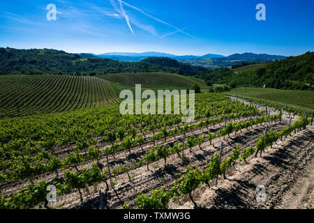 Rural landscape on the Tortona hills, Alessandria province, Piedmont ...