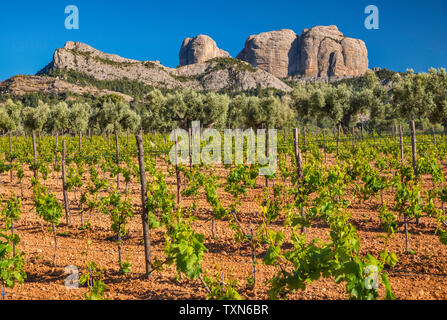 Roques de Benet, in Horta de Sant Joan, El Port Nature Reserve Stock ...