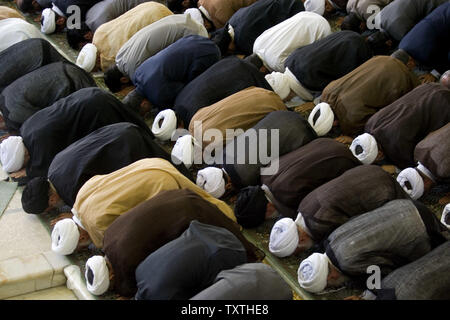 Iranian worshipers pray during Friday Prayer at Tehran University ...