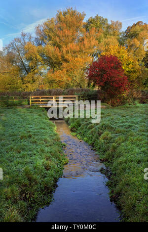 UK, Somerset, Chard Reservoir & Nature Reserve Stock Photo - Alamy