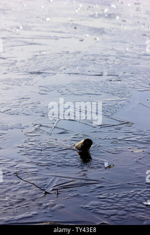 Beautiful frozen lake, covered with shattering ice.Ice cubes and broken ...
