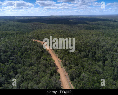 Aerial of the Hoop Pine forests of Goodnight Scrub National Park on the ...