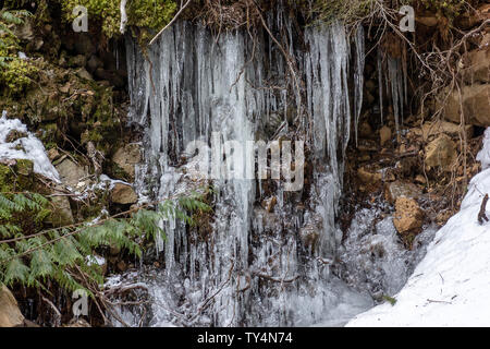 Beautiful icicles form as the water up in the mountains freezes ...