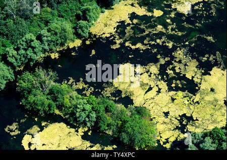 Sarstedt, Germany. 25th June, 2019. Three young men bathe in a lake in ...