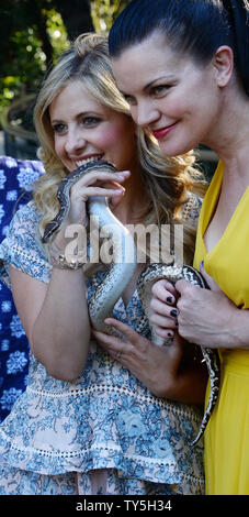 Actress Sarah Michelle Gellar holds an Angolan Python as she attends ...