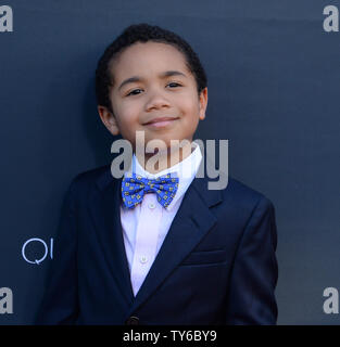 Cast member Nicholas L. Ashe attends the premiere of OWN's television ...
