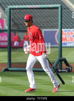 Shohei Ohtani takes batting practice at spring training with the Los ...