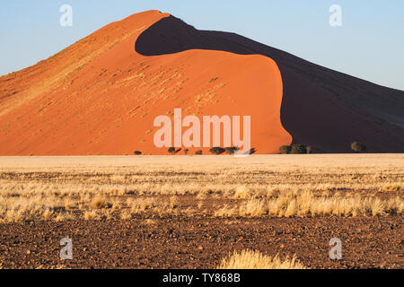 Amazing View of the dunes Sossusvlei. Namib Naukluft National Park. Sand dunes in the pan of ...