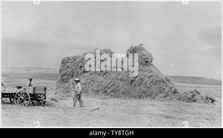 Men and wagon work near a tall haystack Stock Photo - Alamy