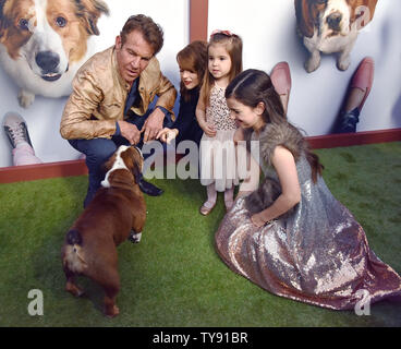 A DOG'S JOURNEY, Kathryn Prescott, 2019. ph: Joe Lederer / © Universal ...