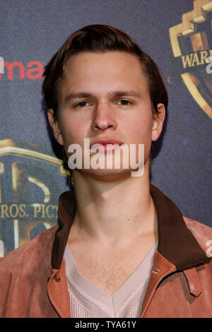 THE GOLDFINCH, Ansel Elgort, 2019. © Warner Bros. / courtesy Everett ...