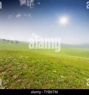 Greenfield with white photography Stock Photo - Alamy