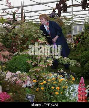 British actress Brenda Blethyn poses in a flower display at the 2015 ...