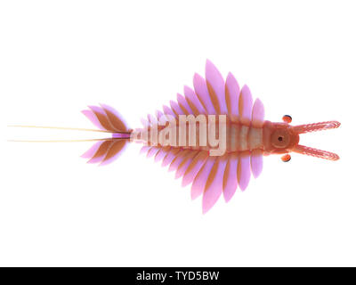 3d rendered illustration of an Anomalocaris Stock Photo - Alamy