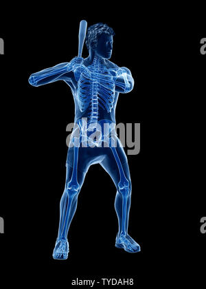 Baseball player skeleton - 3D illustration of male human skeleton ...