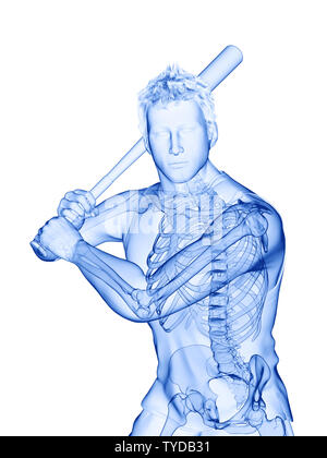 Baseball player skeleton - 3D illustration of male human skeleton ...