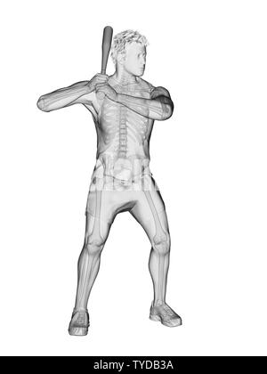 Baseball player skeleton - 3D illustration of male human skeleton ...