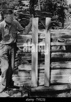 Photograph of Sample Mine Ties; Scope and content: Original caption ...