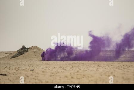 Weapon Clearing by 1st Armored Division and Fort Bliss Stock Photo - Alamy