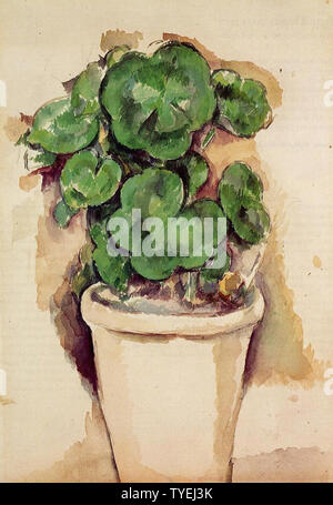 Pot of Geraniums 1885 by Paul Cezanne Stock Photo - Alamy