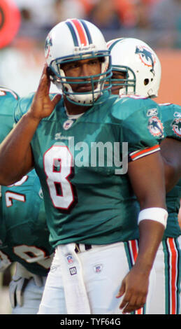 Miami Dolphins quarterback Daunte Culpepper watches from the sidelines ...