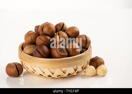 Northeast characteristic open hazelnut Stock Photo - Alamy