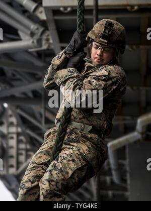 USN EOD SPIE training Stock Photo - Alamy