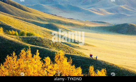 Photo in autumn on the prairie on the dam Stock Photo - Alamy