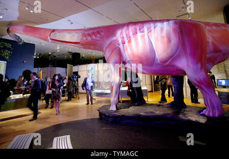 The inner anatomy of the life-sized model of a 60-foot-long ...