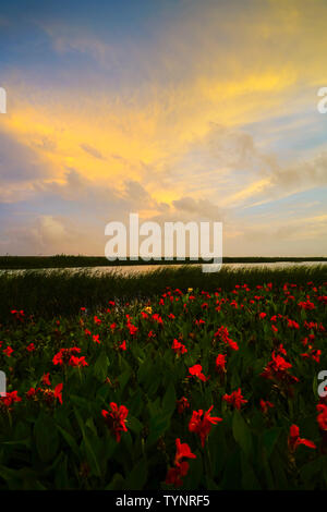 Meishan Island Wetland Park Stock Photo - Alamy