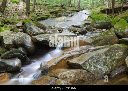 Small cascade on Ledge Brook in Livermore, New Hampshire USA during the ...