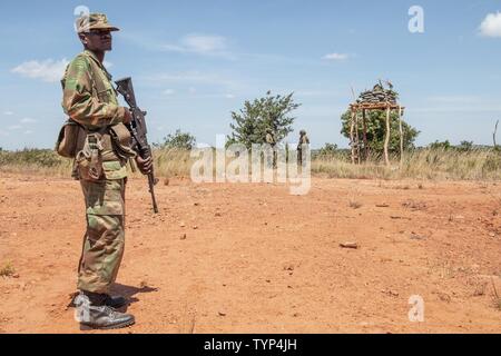 Zambian Defense Force soldier during a tactical exercise at exercise ...