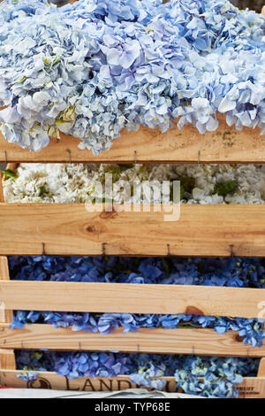 Corpus Christy religious festival in funchal, June 2019, with flowers ...